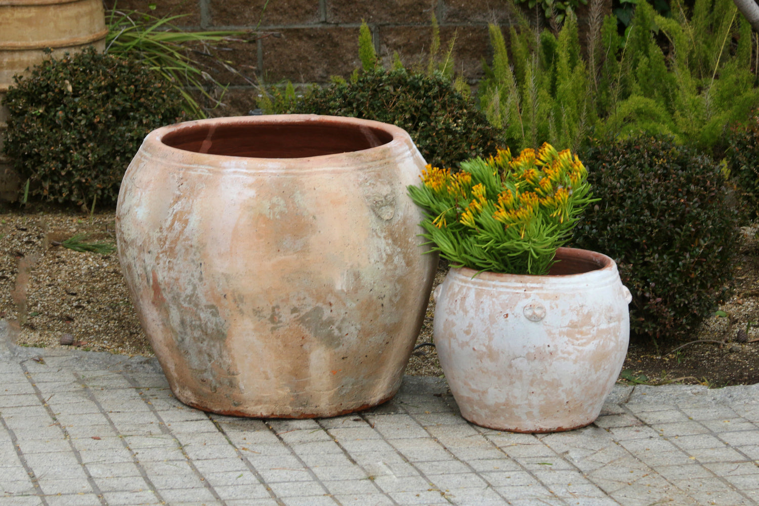 Collections – Pottery Collection